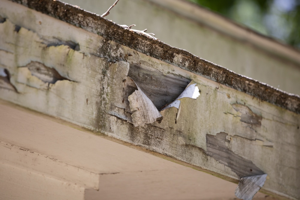 Fascia Board Repair Services in New Orleans | TurnKey Patio